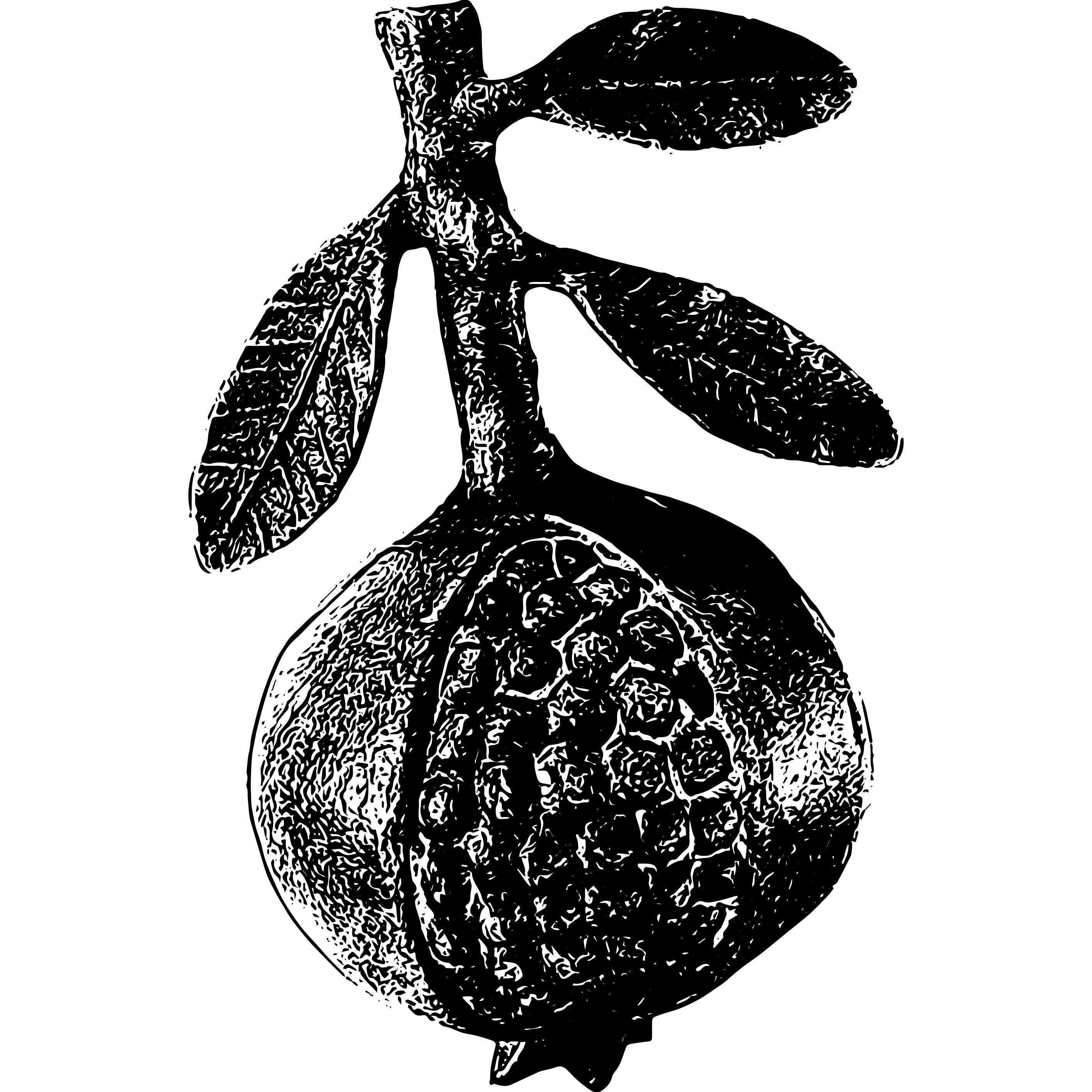 Tabrizi Treasures